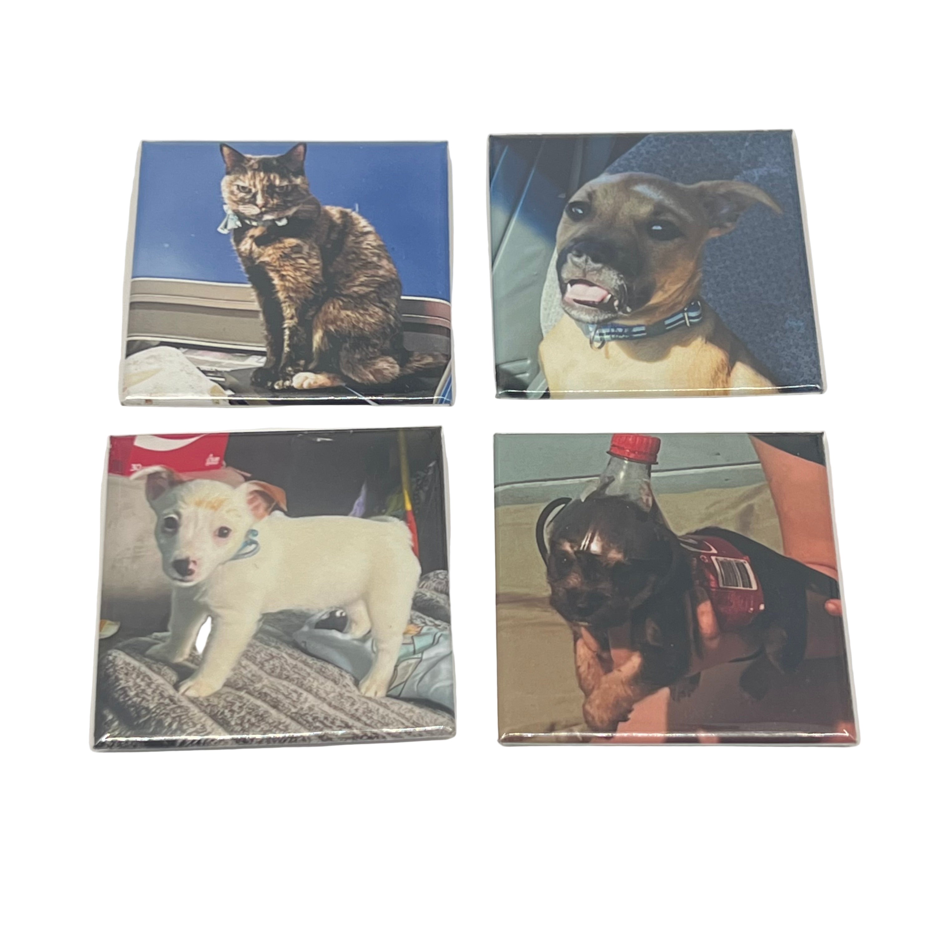 Custom 2x2" Photo Magnets Personalised Fridge Magnet Gifts – Rokima
